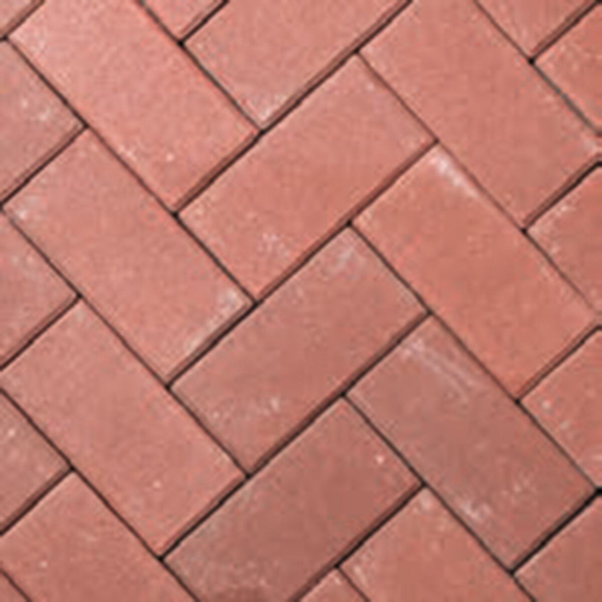 Belgard Double Standard Paver Red 60 mm (1.8 pc./sq. ft.)(98 sq. ft ...