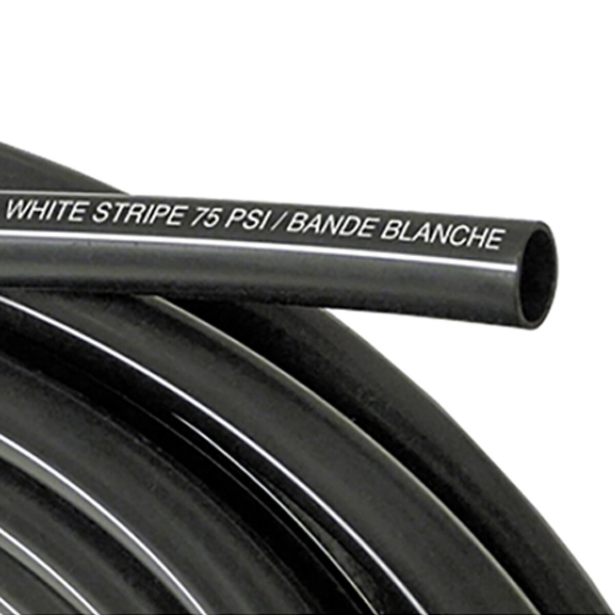 IPEX PP 1/2 ft. x 100 ft. White Stripe 75 PSI | SiteOne CA