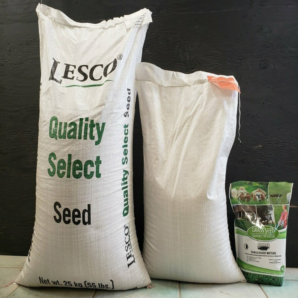 LESCO Overseeding Seed Mix (25 kg/55 lb. Bag) | SiteOne CA