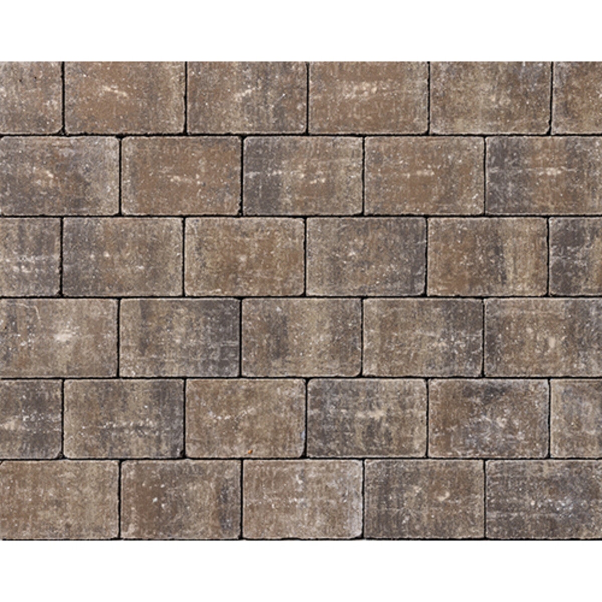 Newstone Old Village Paver Espresso 6 in. X 6 in. 60mm (108 sq.ft ...