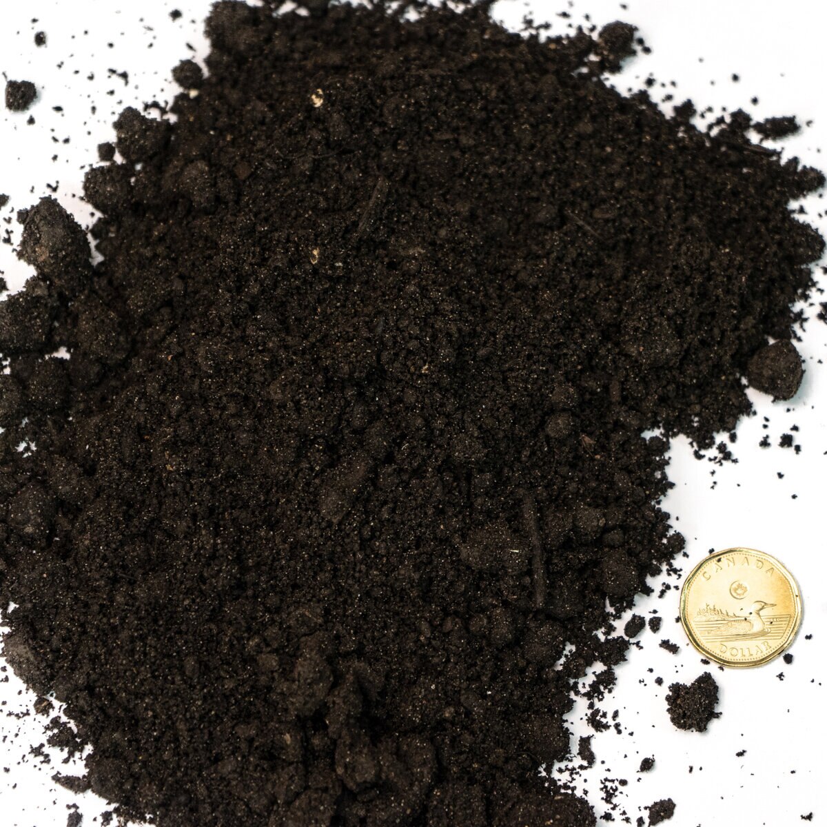 Black Topsoil Bulk (per cu. yd.) | SiteOne CA