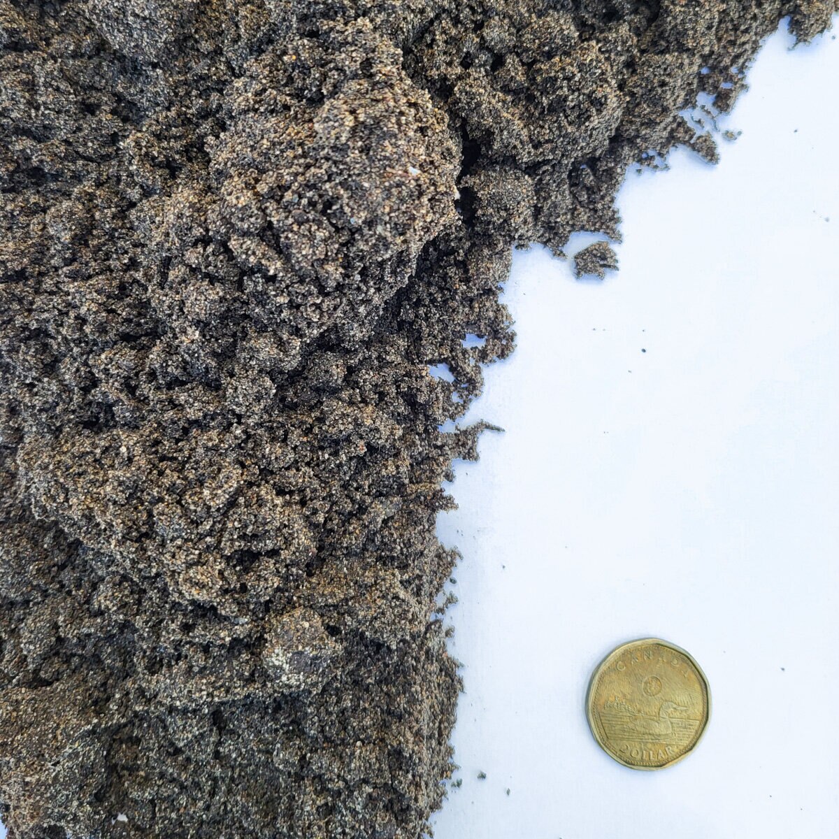 Top Dressing Soil 70-30 Bulk (per cu. yd.) | SiteOne CA