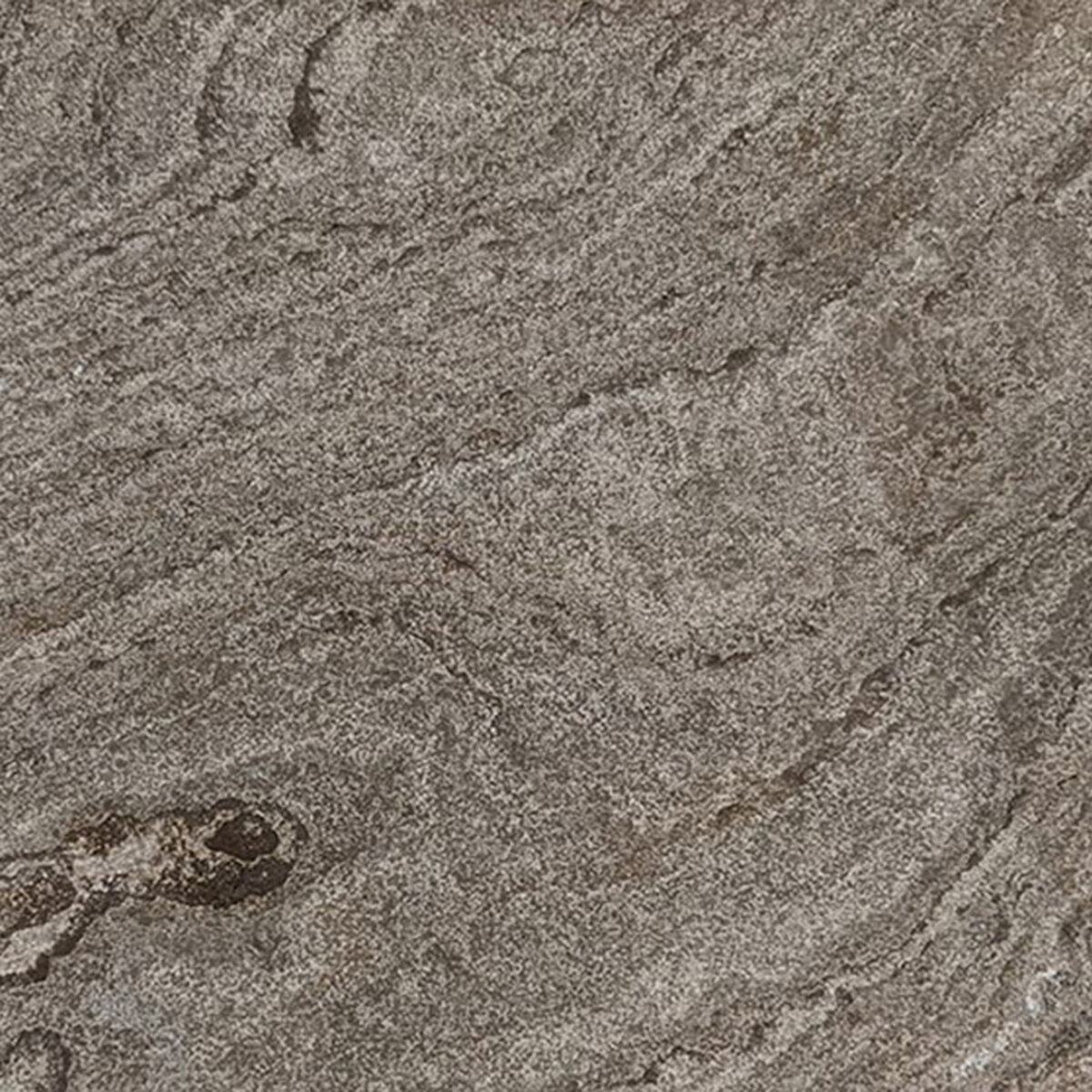 Dimensional Eramosa Limestone Bush Hammered Finish 2 in. x 12 in. x 24 ...