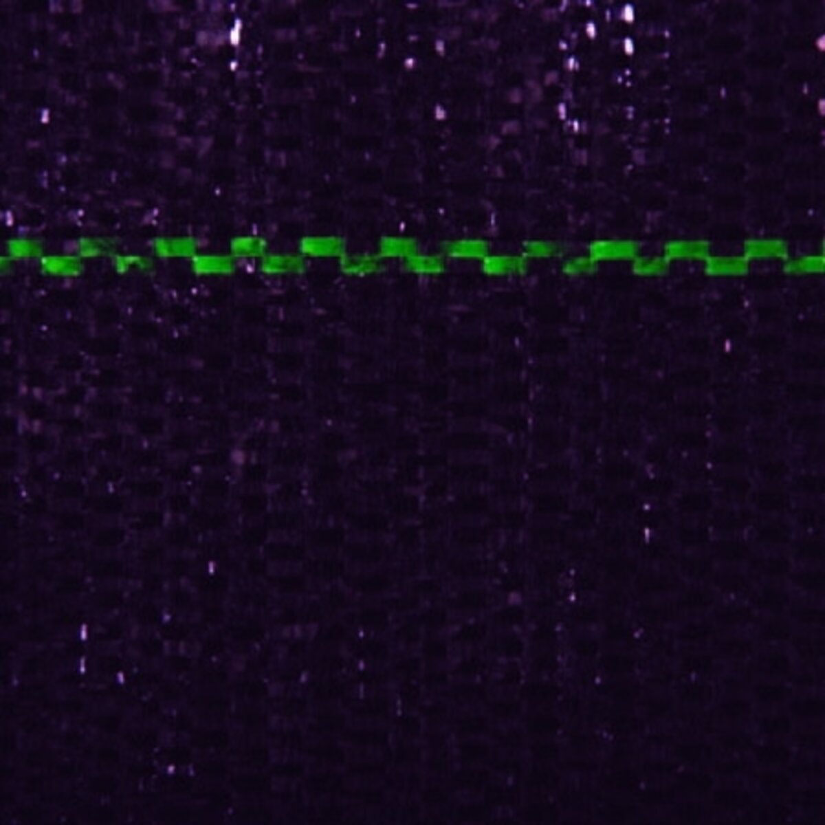 DeWitt Professional Max Weed Control 4.1 oz. 4 ft. x 250 ft | SiteOne CA