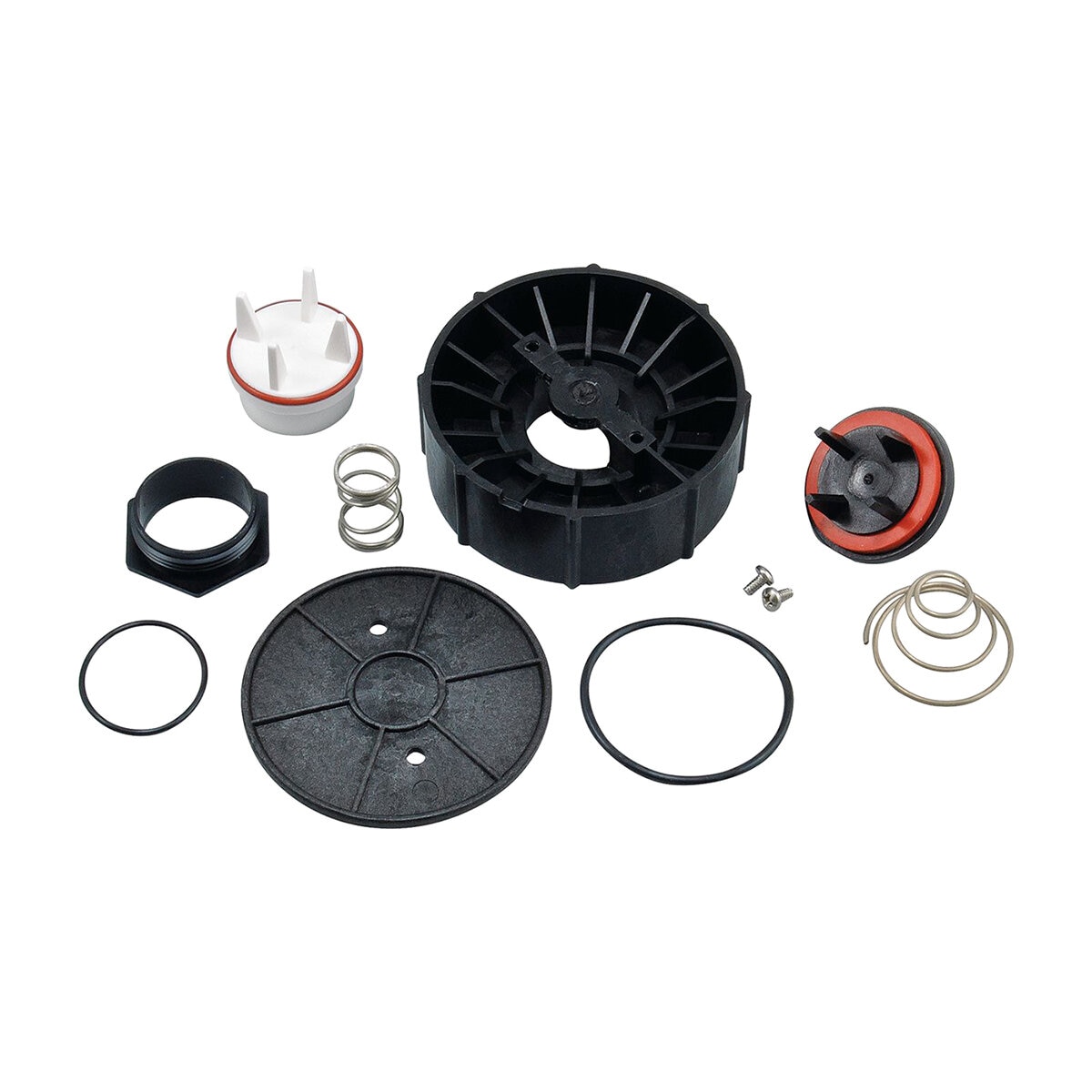 Watts Total Repair Kit | SiteOne CA